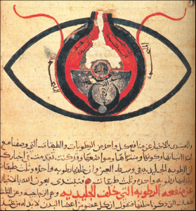 Le califat abbasside : âge d'or de la civilisation islamique