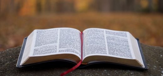 « Précédant » et « précédent » : quelle différence ? orthographe - La ...