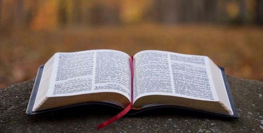 « Référent » ou « référant » ? (orthographe)