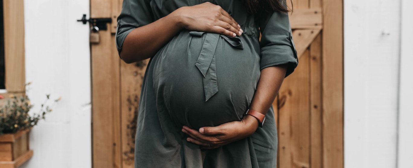 Vivipare, ovipare et ovovivipare : quelle différence ? | La culture ...