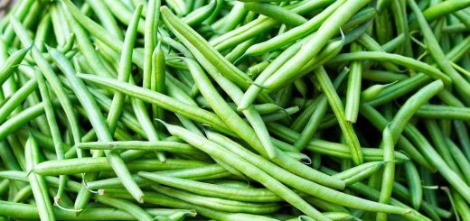 La nature des mots ou classes grammaticales : définition et liste - La ...