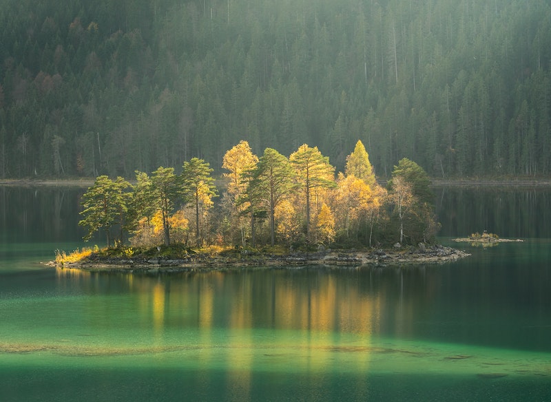 L'« écocide » : qu'est-ce que c'est ? Définition