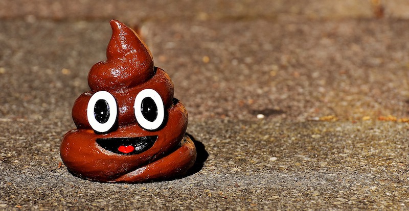 Merde : origine du mot (étymologie)