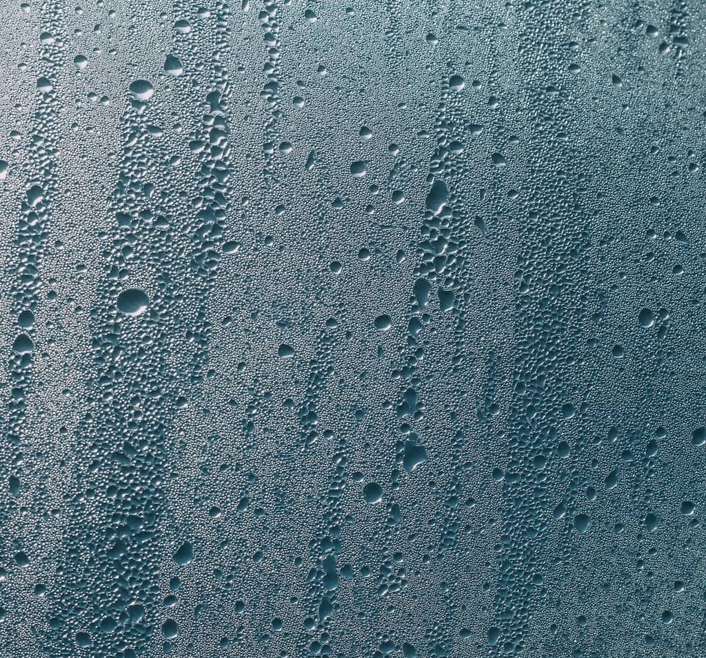 Quiz 5e : l'eau dans notre environnement (avec réponses)