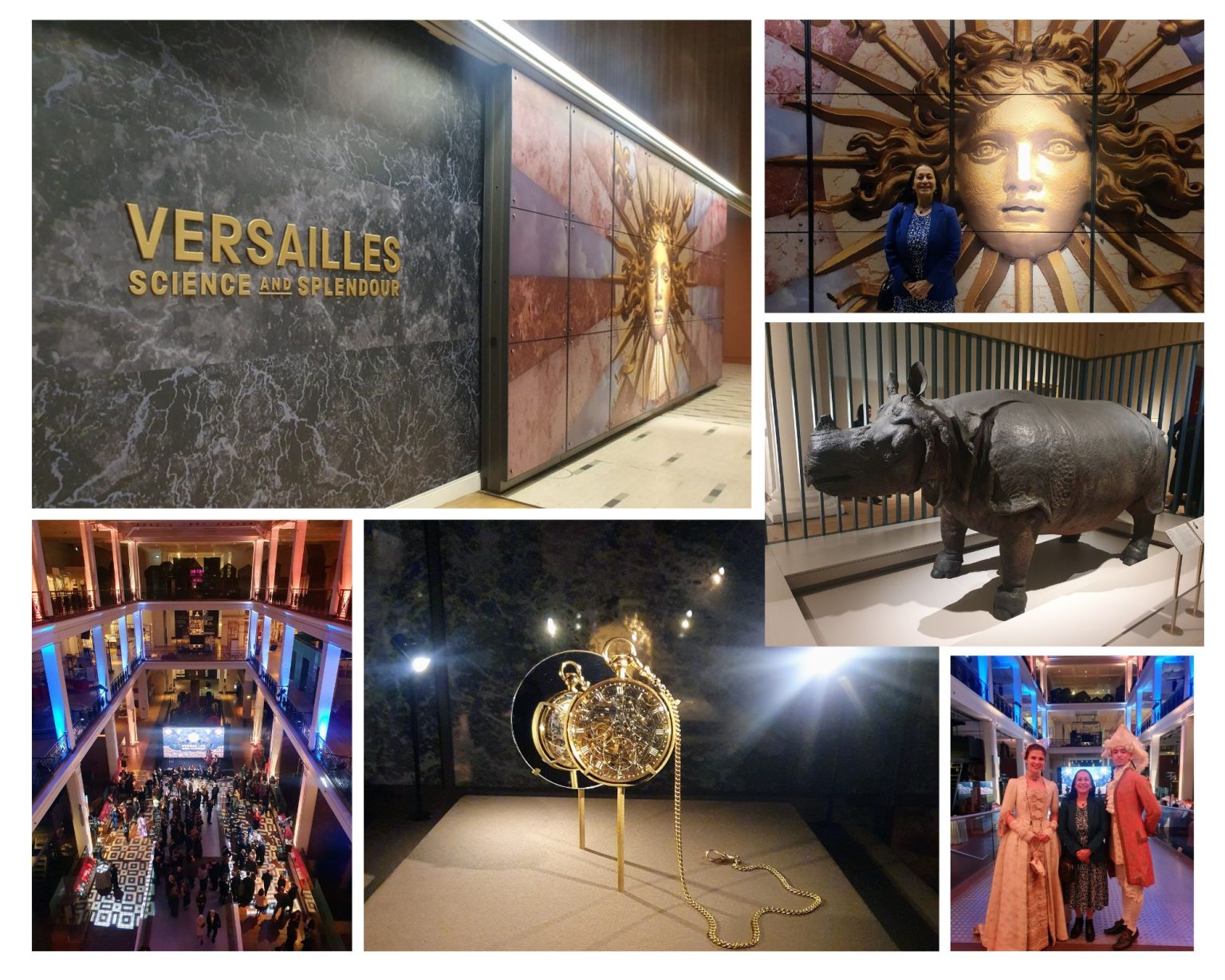 Versailles : Science and Splendour, l'exposition à Londres d ...